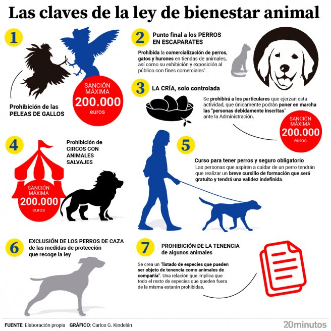 La nueva Ley de Protección Animal en 2023: garantizando el bienestar de ...